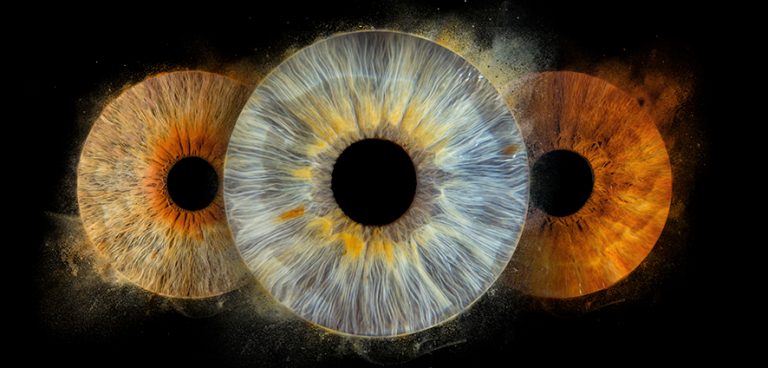 Iris Expérience - Ouisnap