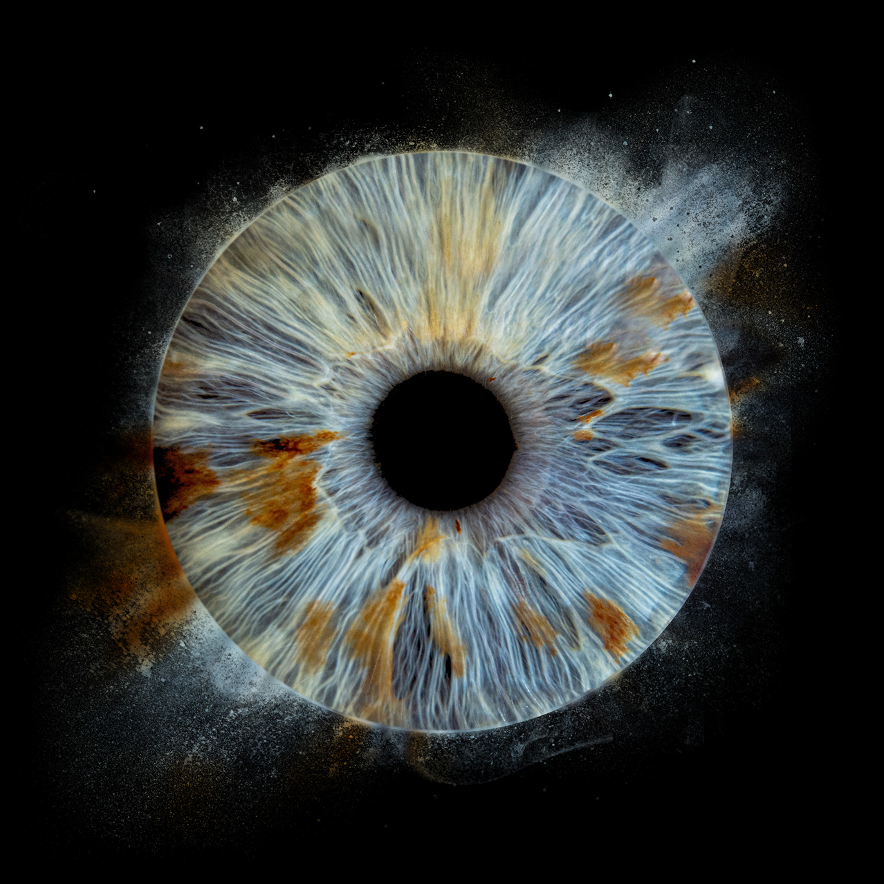 Ouisnap - Iris Expérience